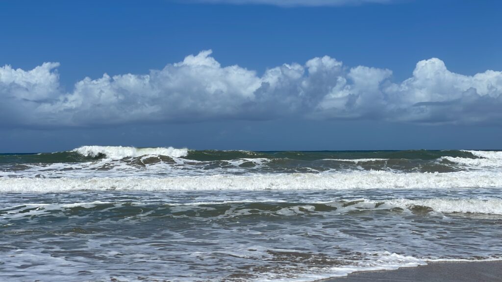 Occasional Long-Period Swells & Moderate Seas Forecast Into 2026 ...